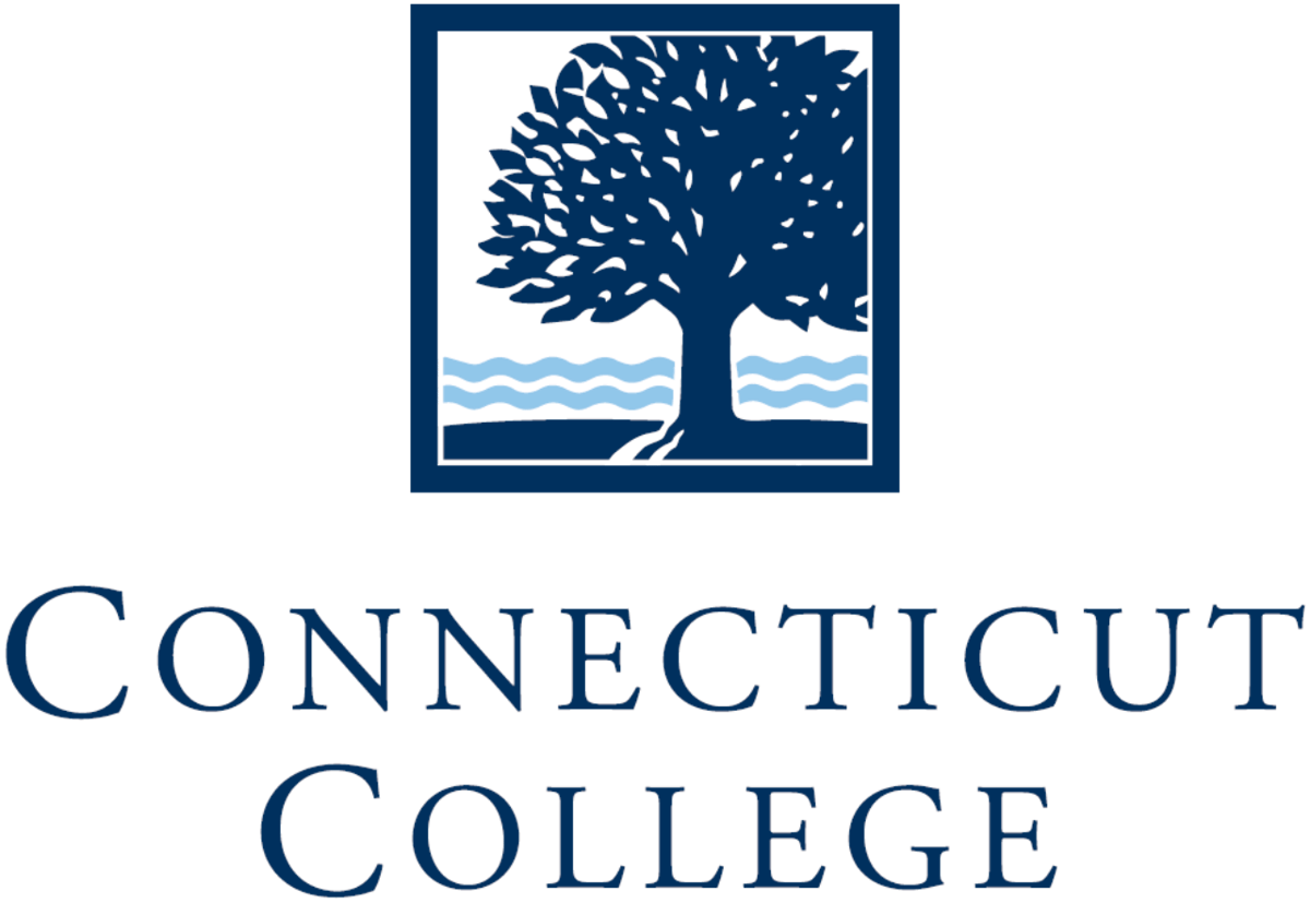 blartoon network logo